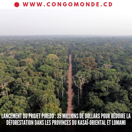 RDC: Un projet PIREDD pour lutter contre la déforestation au Kasaï ... RDC: Un projet PIREDD pour lutter contre la déforestation au Kasaï ...